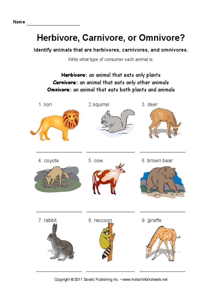 Herbivore Carnivore Omnivore