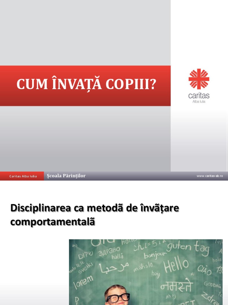 Cum Invata Copiii | PDF