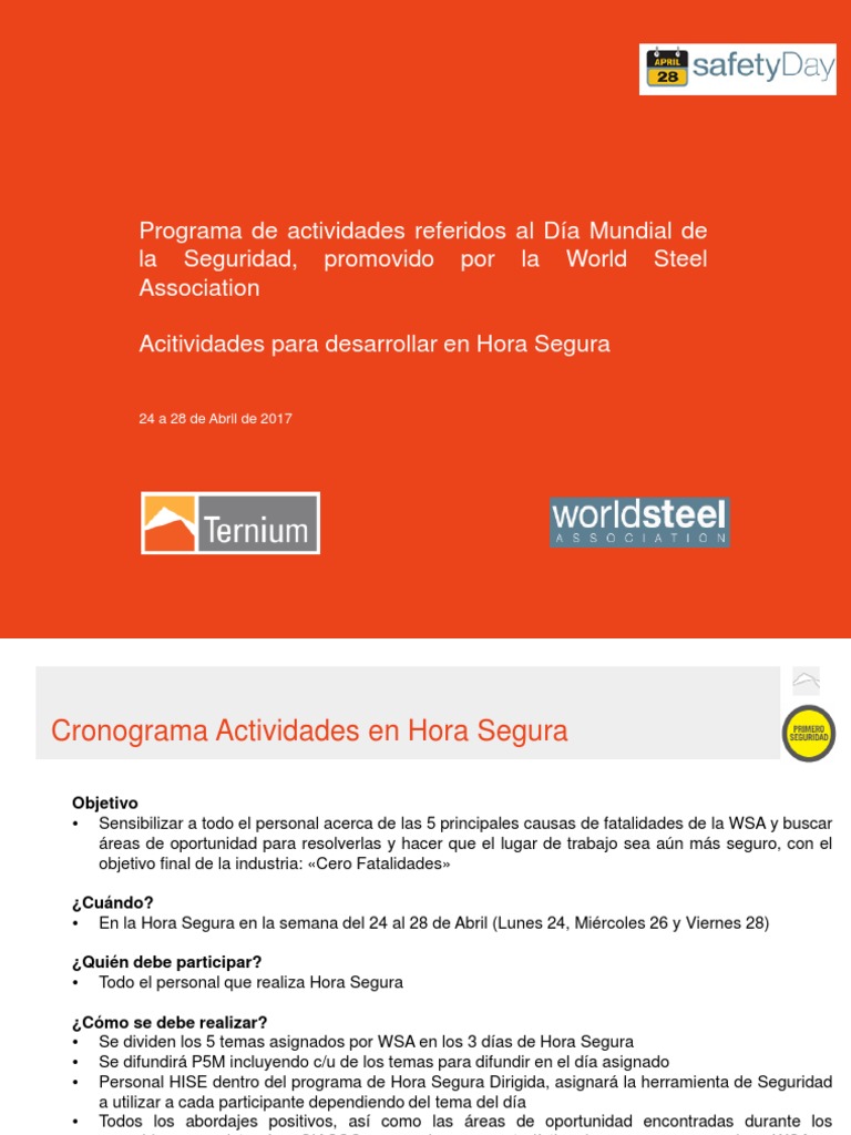 Día Mundial de La Seguridad 2017 | PDF