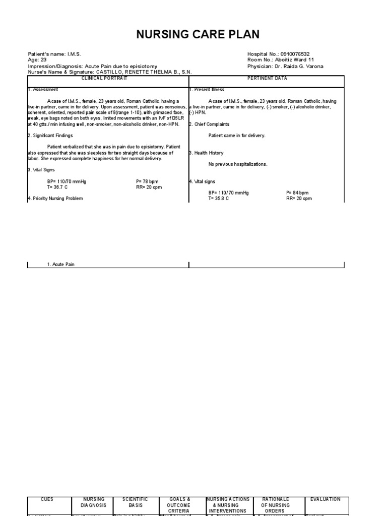 Nursing Care Plan | PDF | Urinary Incontinence | Pain
