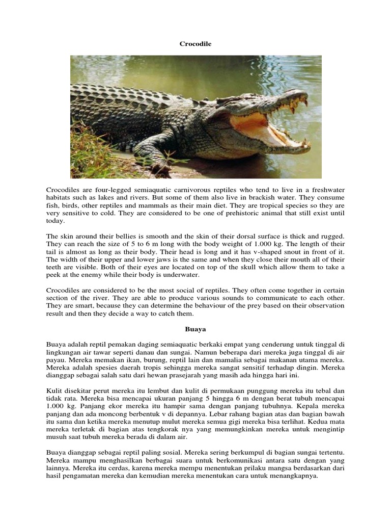 Crocodile | PDF