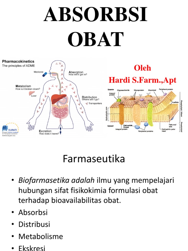 Absorbsi Obat | PDF