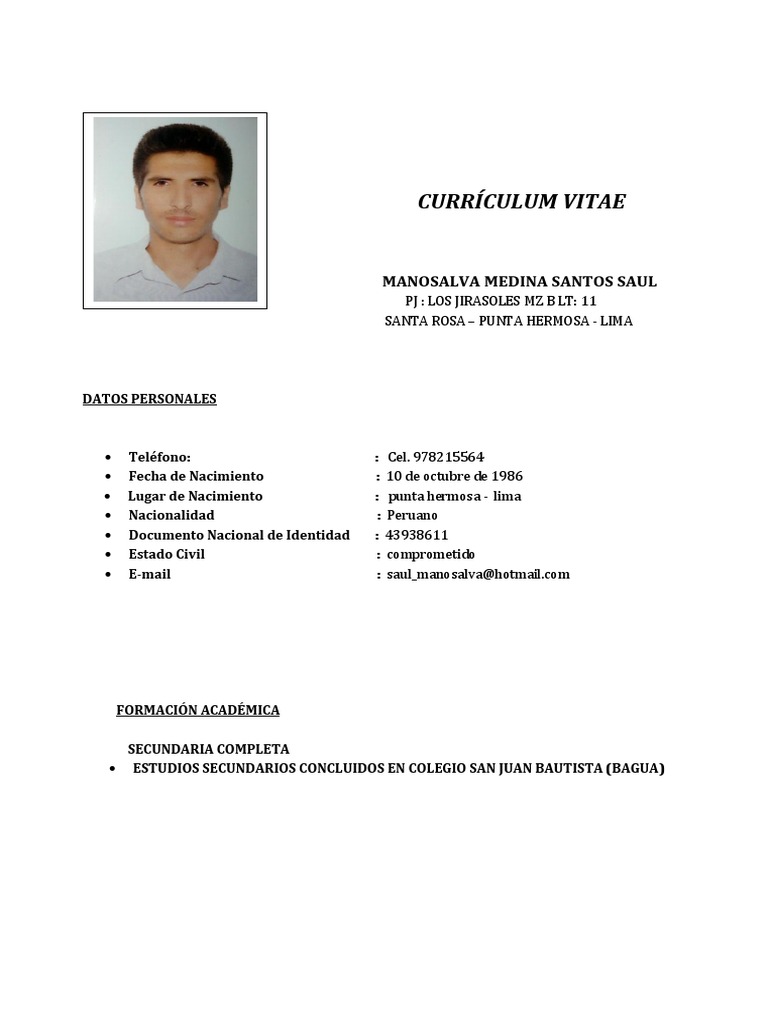 Currículum Vitae Saul | PDF