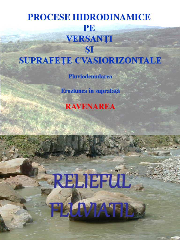 Curs Geomorfo 4 Sem II | PDF