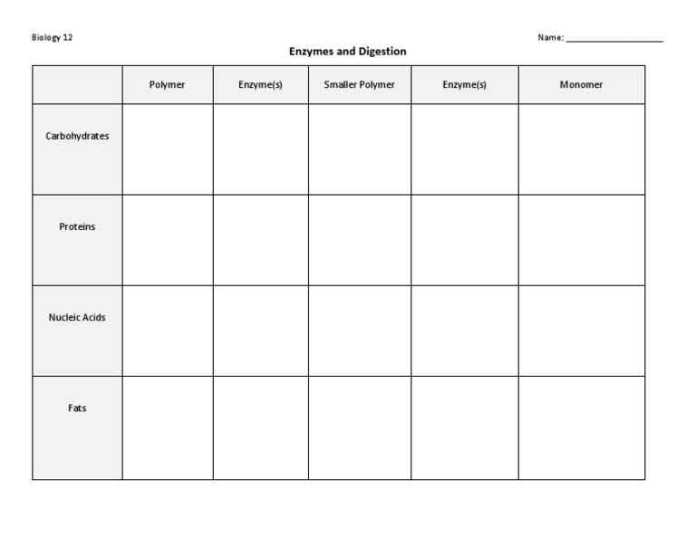 Enzymes Chart | PDF