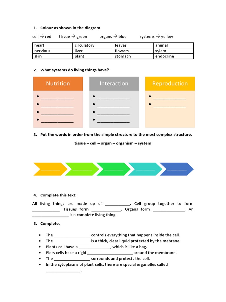 Nutrition Interaction Reproduction: 1. Colour As Shown in The Diagram | PDF