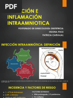GPC - Corioamnionitis | PDF | Partería | Parto