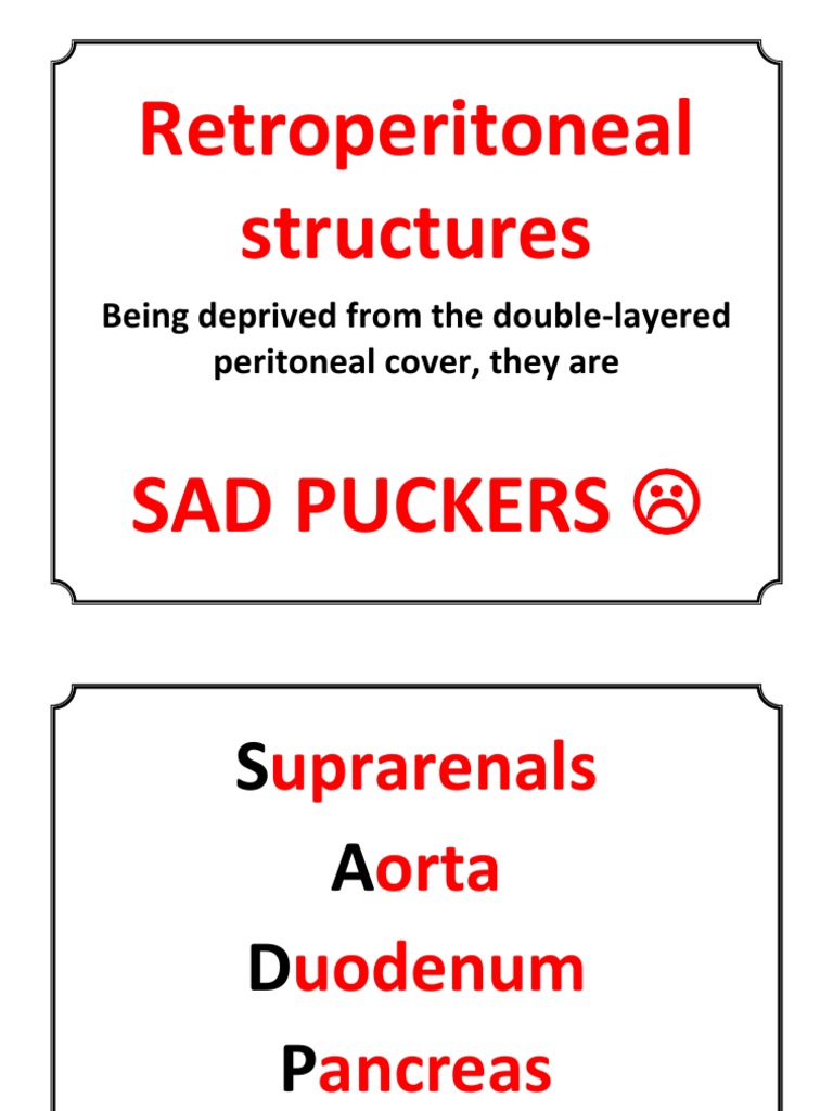 Retroperitoneal Structures Overview | PDF | Wellness