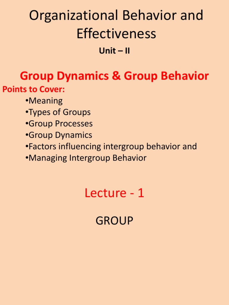 Understanding Group Dynamics in Organizations | PDF | Group ...
