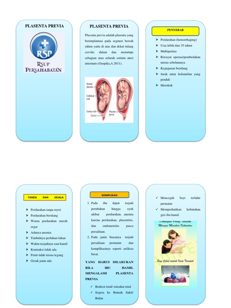 A Comprehensive Overview of Placenta Previa: Causes, Symptoms ...