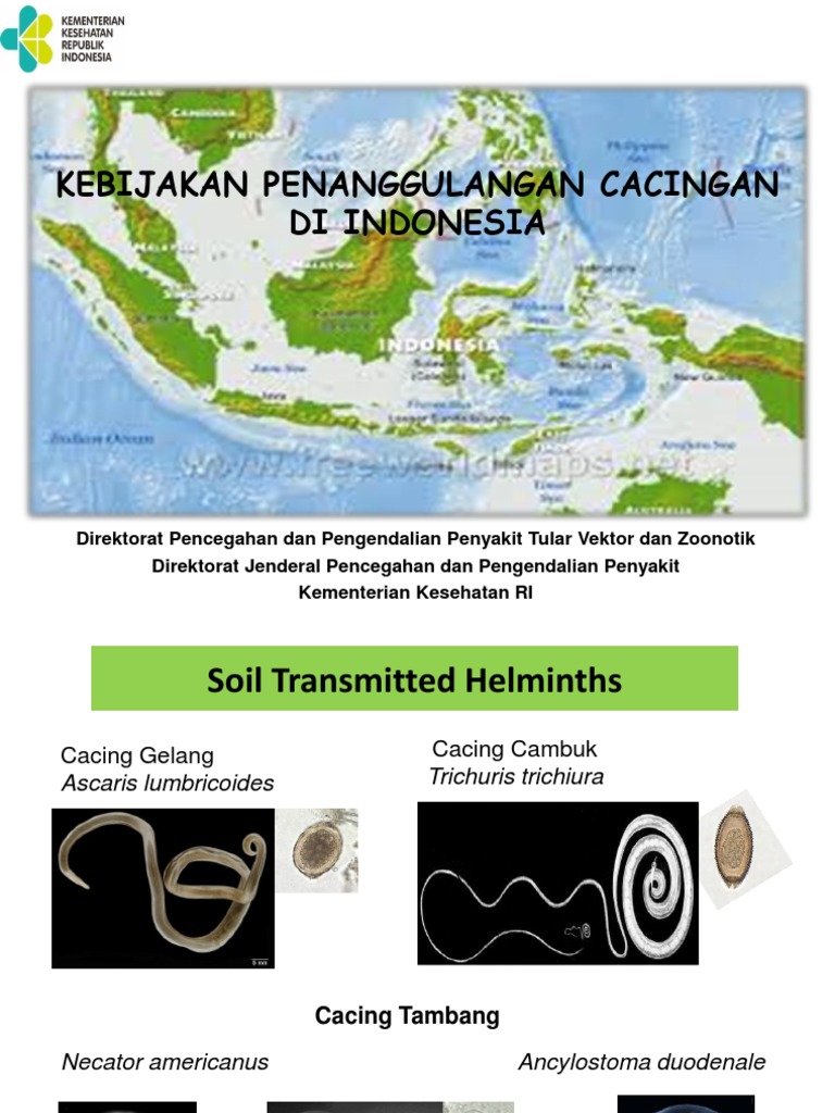 Kebijakan Cacingan Di Indonesia | PDF