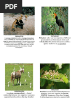 Hart Chart | PDF | Physical Therapy | Clinical Medicine