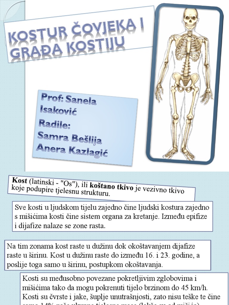 Kosti | PDF