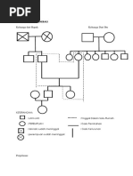 Genogram Keluarga 4 Generasi | PDF