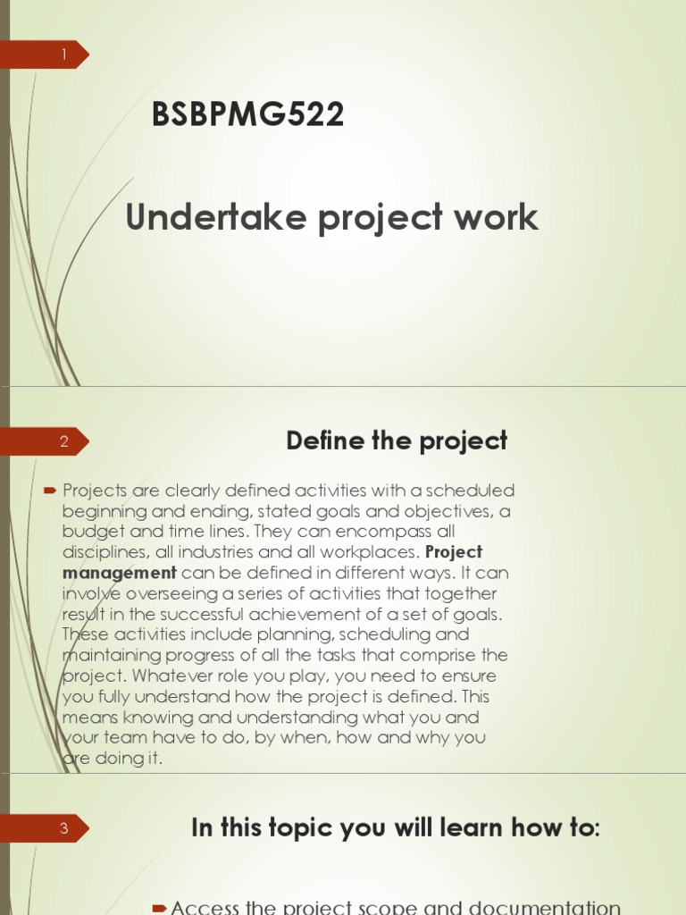 Undertake Project Work | PDF | Risk Management | Project Management
