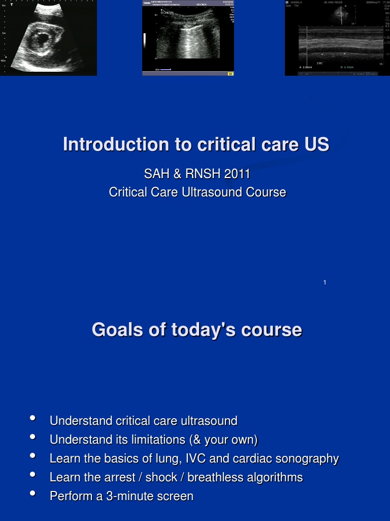 Critical Care Ultrasound Essentials | PDF | Medical Ultrasound ...