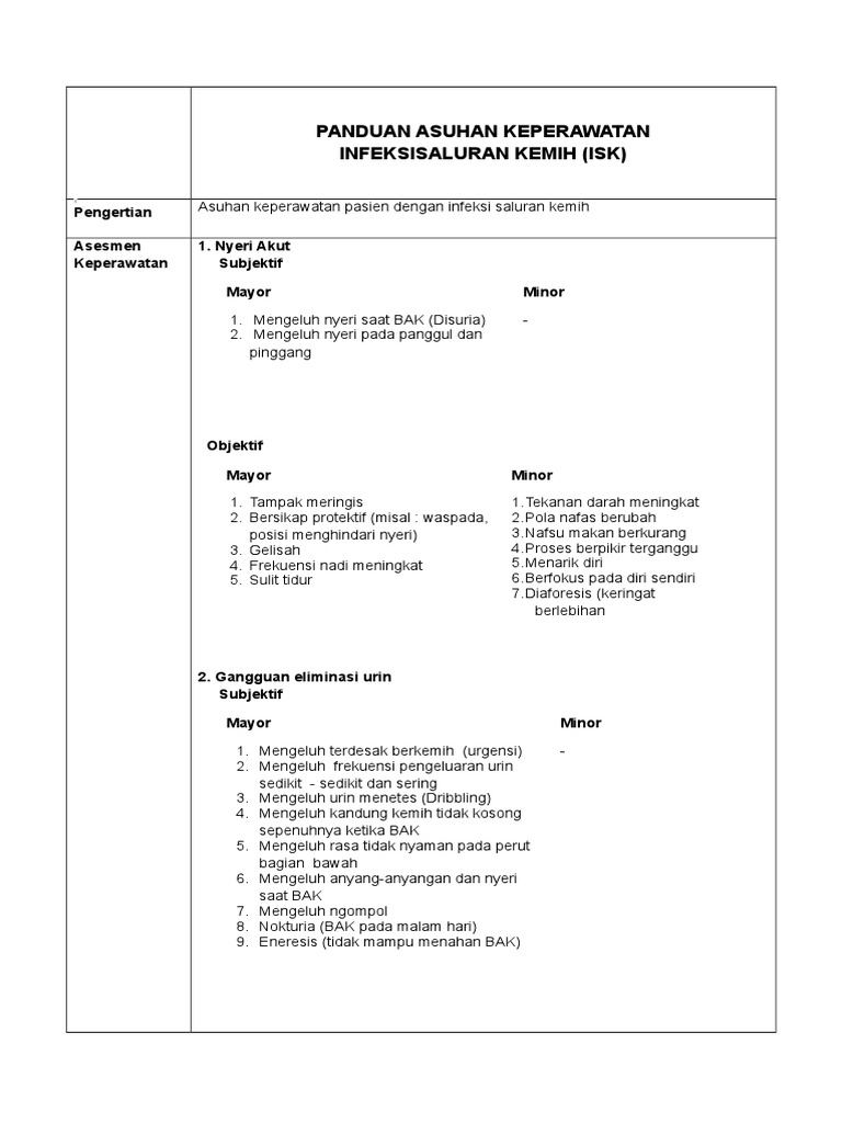 Panduan Asuhan Keperawatan ISK | PDF