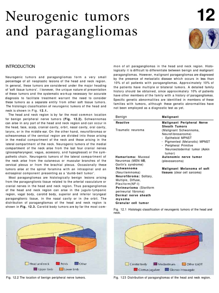 Neurogenic Tumors and Paragangliomas: Benign | PDF | Common Carotid ...