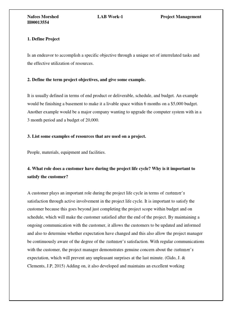 Lab Work 1 | PDF | Product Lifecycle | Project Management