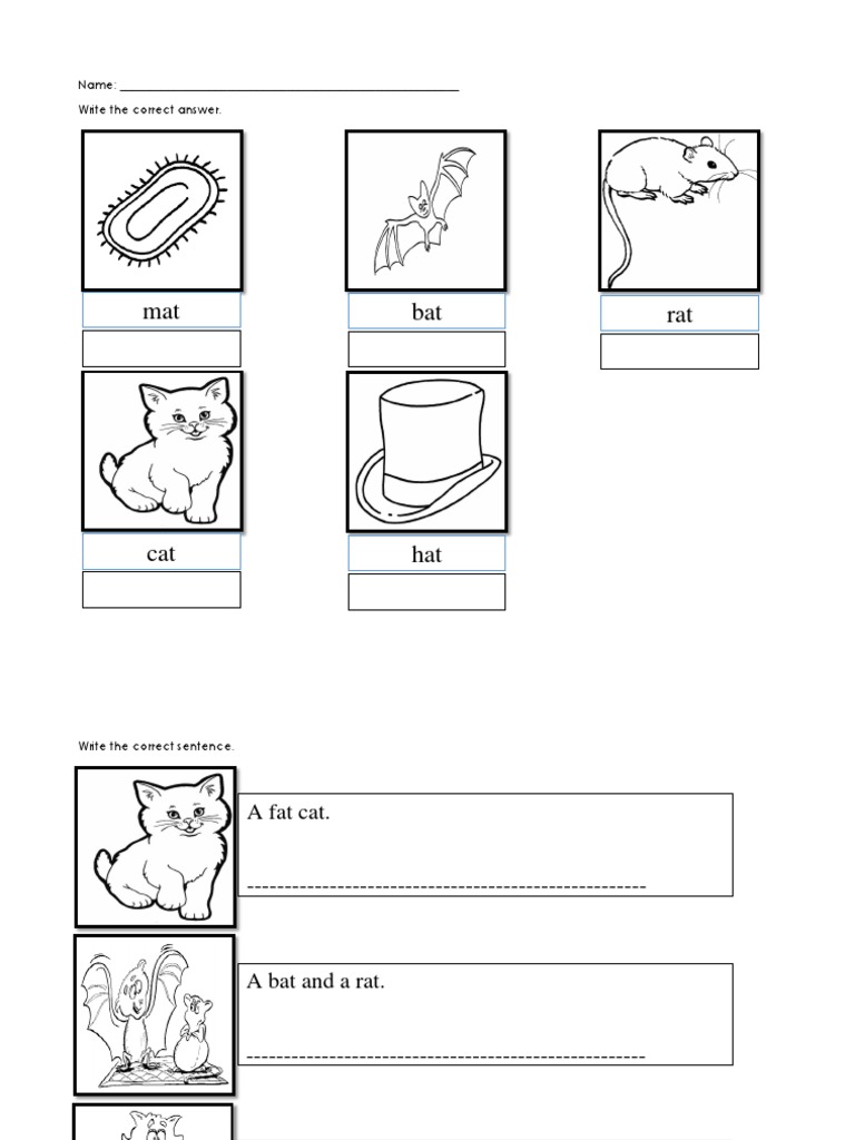 A Fat Cat Worksheet | PDF