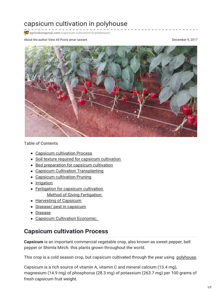 Capsicum Cultivation in Polyhouse | PDF | Tillage | Capsicum