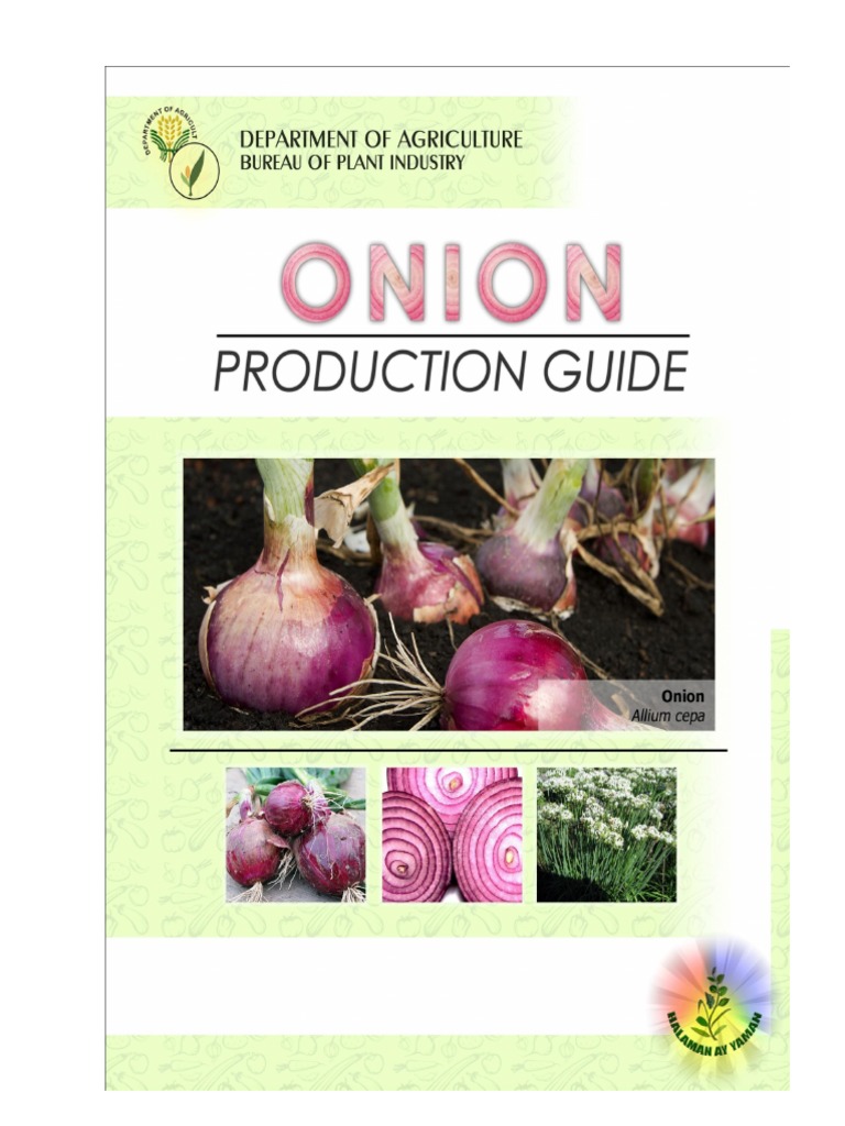 Productionguide Onion PDF | PDF | Onion | Crop Rotation