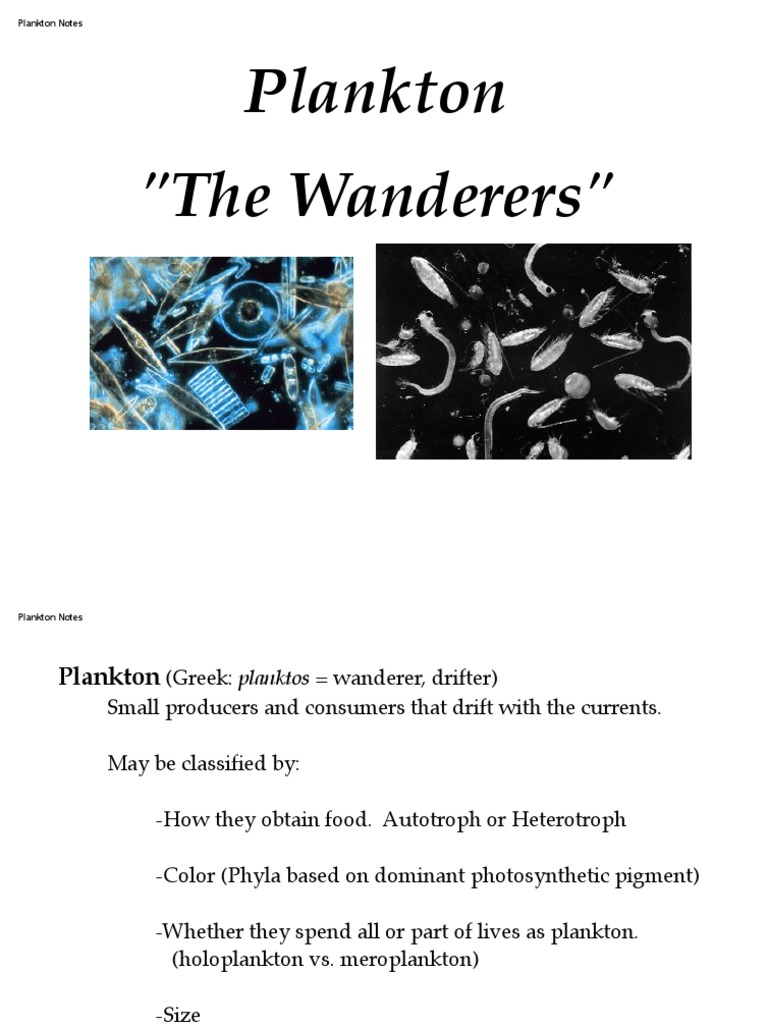 Plankton Notes PDF | PDF | Plankton | Phytoplankton