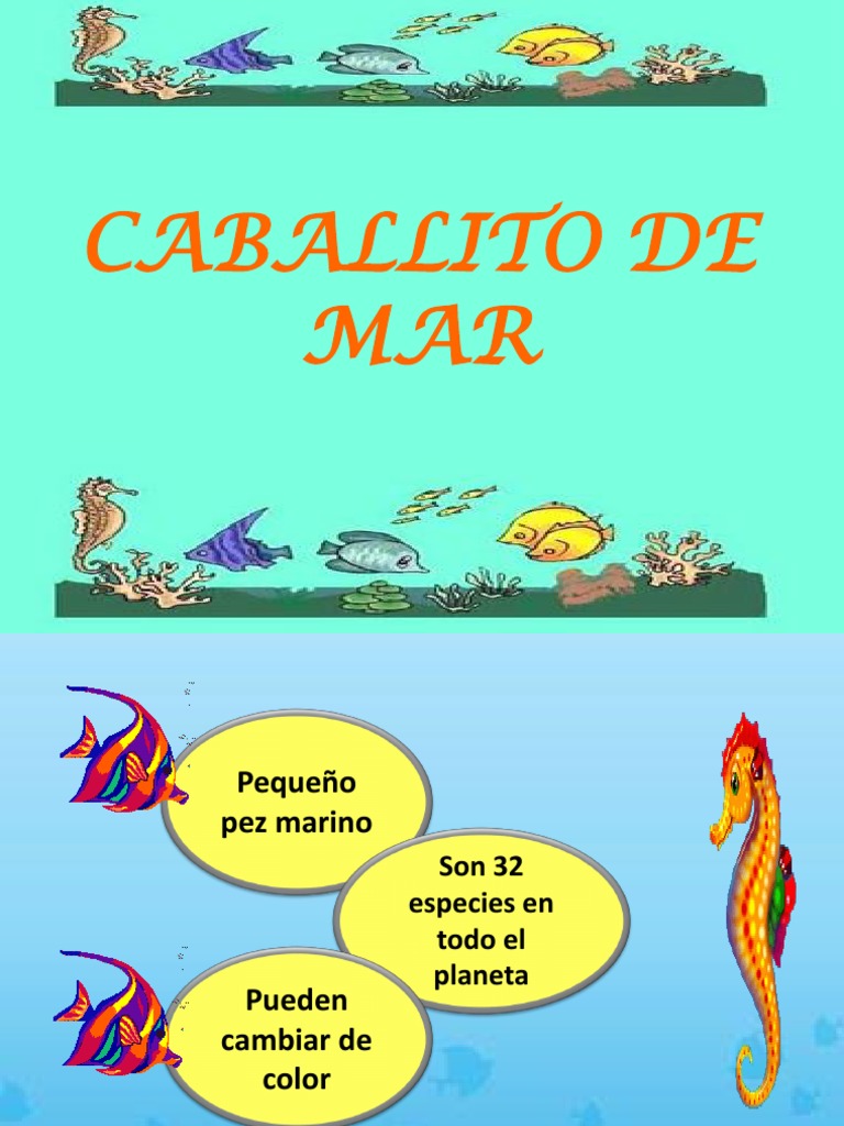 Caballito de Mar | PDF | Arte