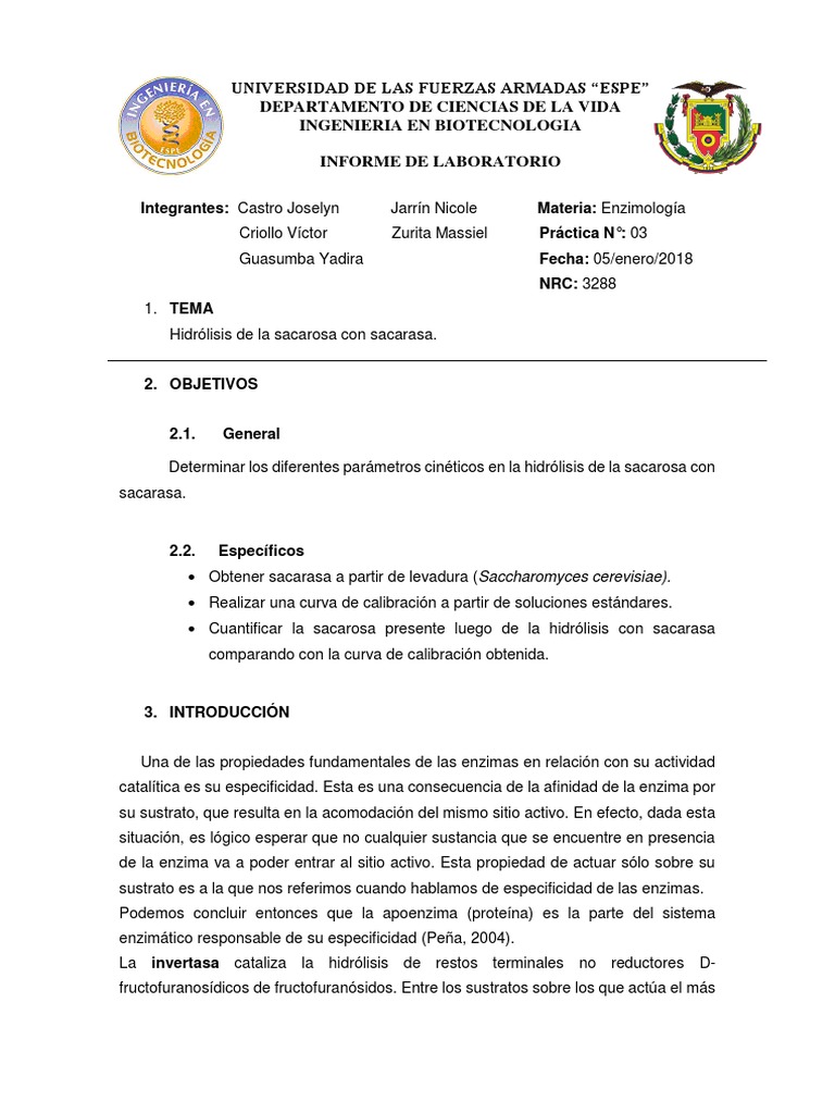 Informe 3 Sacarasa | PDF | Enzima | Sacarosa