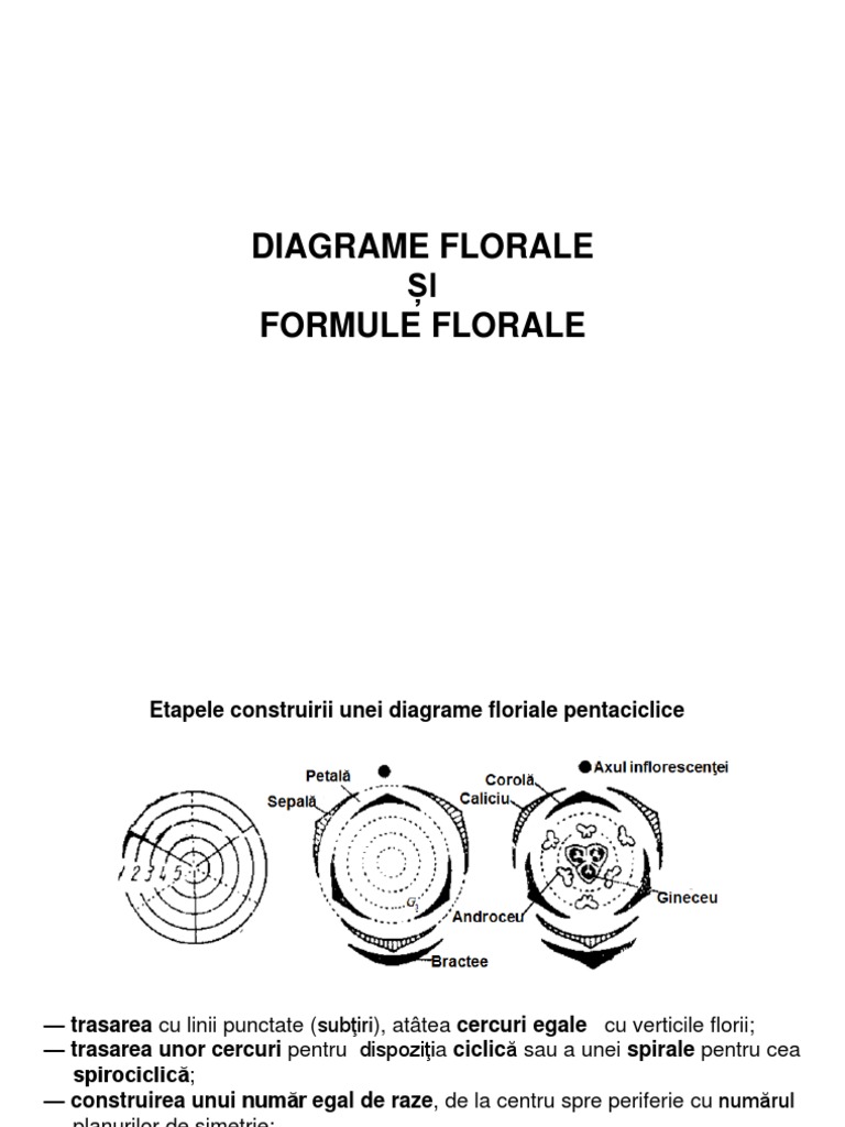 Diagrame Si Formule Florale | PDF