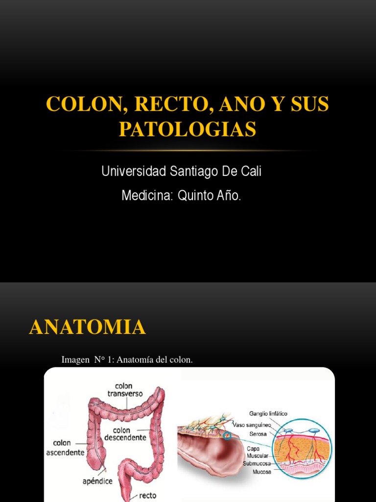 Colon, Recto y Ano | PDF | Síndrome del intestino irritable | Cáncer ...
