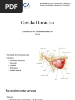 Cerdo (Estructura Ósea y Fisiología) | PDF | Digestión | Sistema ...
