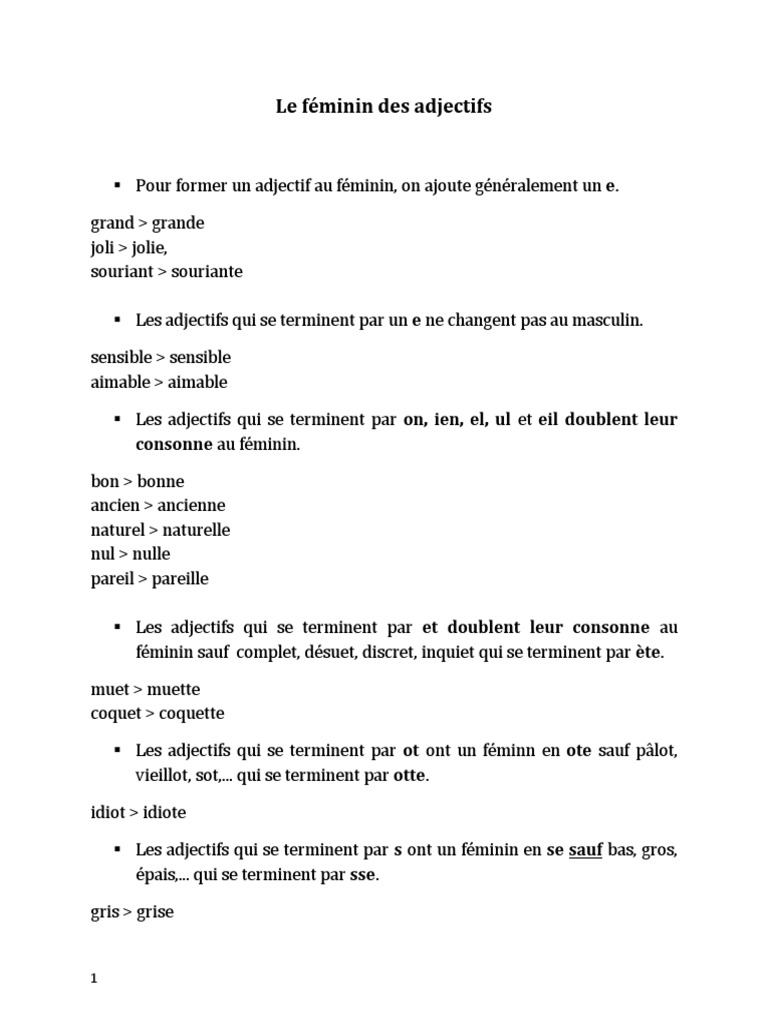 Le Feminin Des Adjectifs | PDF