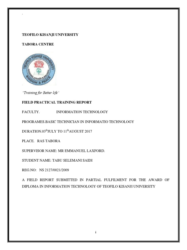 Field Practical Training Report On Information Technology At Teofilo