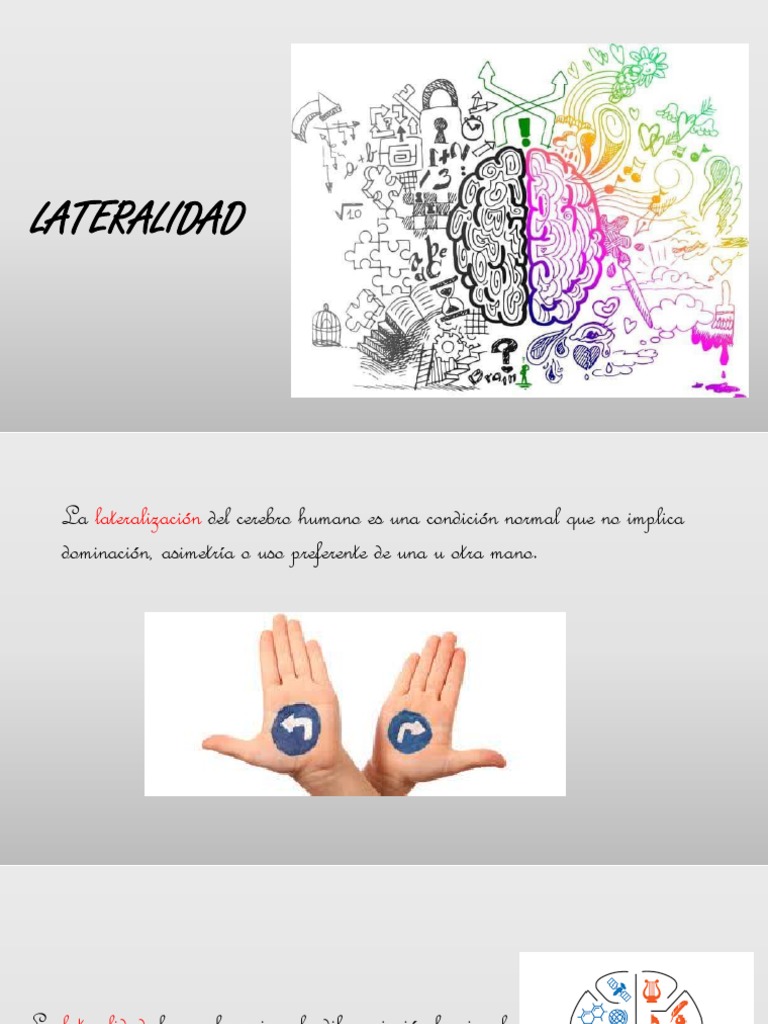 Lateralidad y Funciones Cerebrales | PDF | Hemisferio cerebral | Afasia