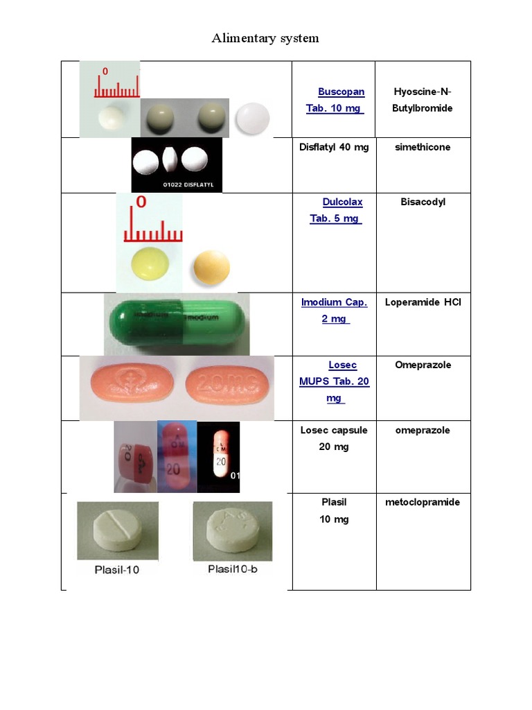 Alimentary System | PDF