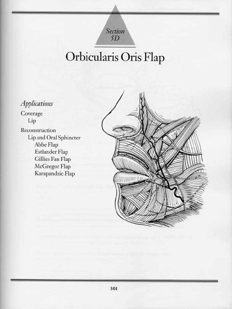 5D - Orbicularis Oris Flap | PDF