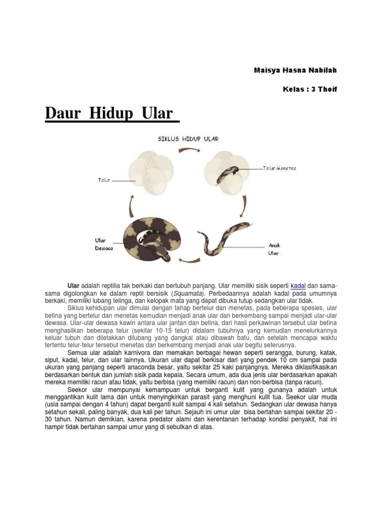 Daur Hidup dan Reproduksi Ular | PDF
