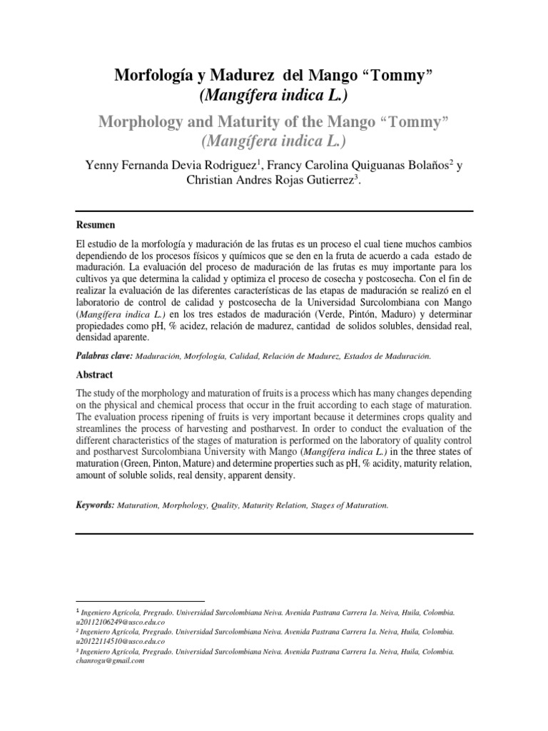 Morfología y Madurez Del Mango. | PDF | Densidad | Concentración