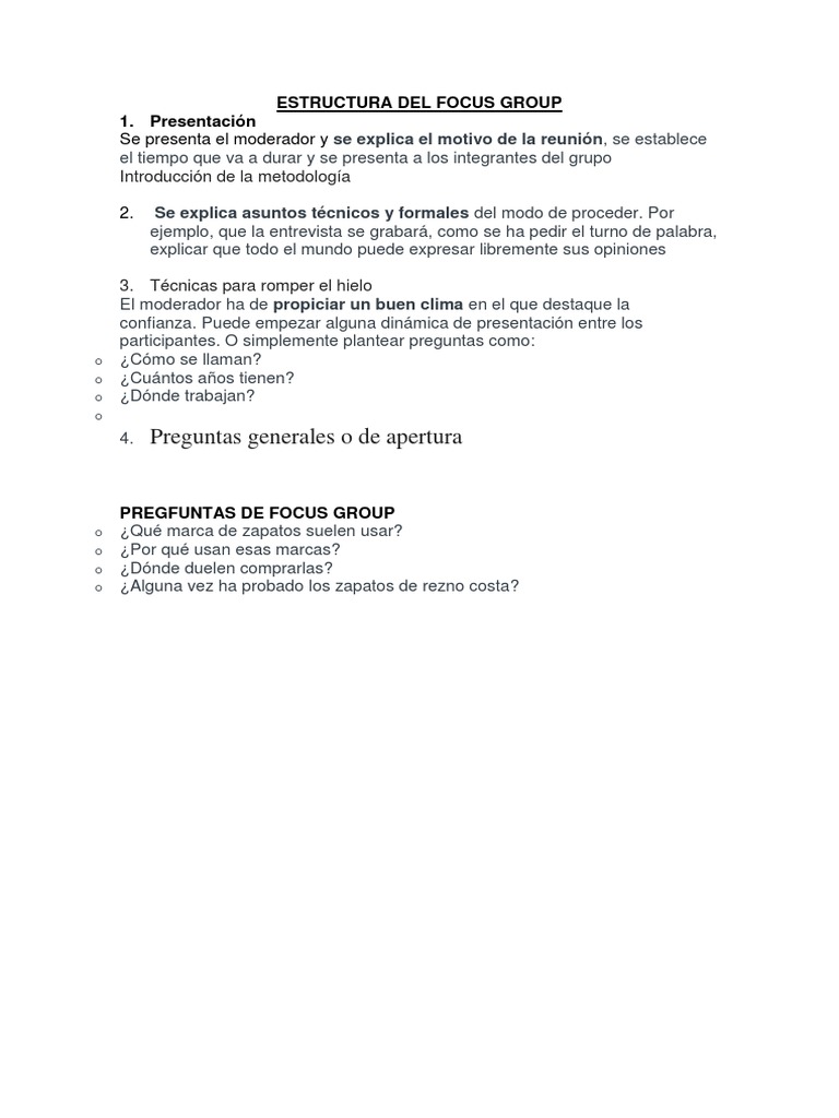 Estructura Del Focus Group | PDF