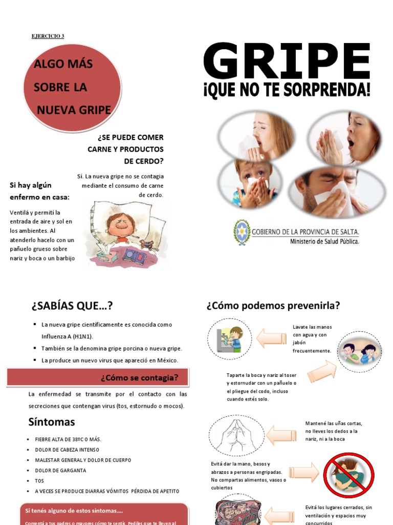 Folleto Gripe A | PDF | Virus de la Influenza A Subtipo H1 N1 | Influenza