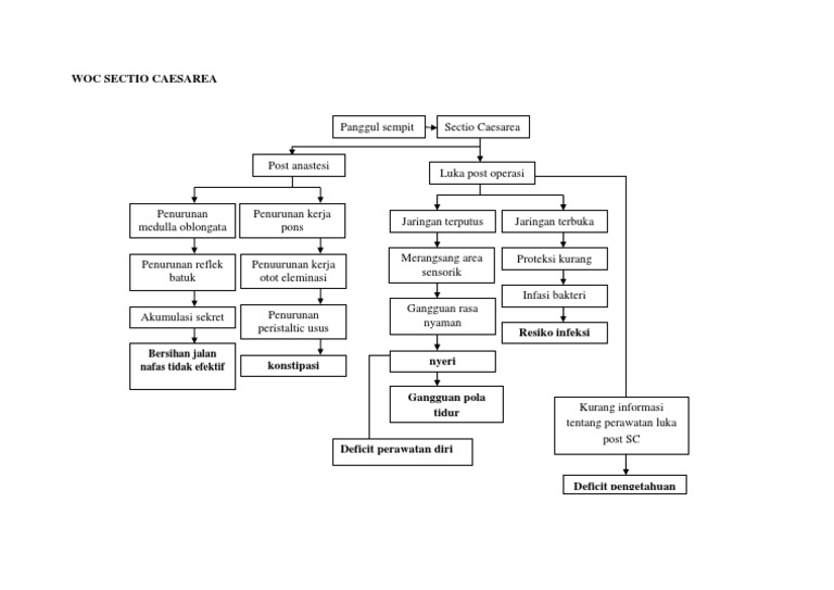 Woc Sectio Caesarea | PDF