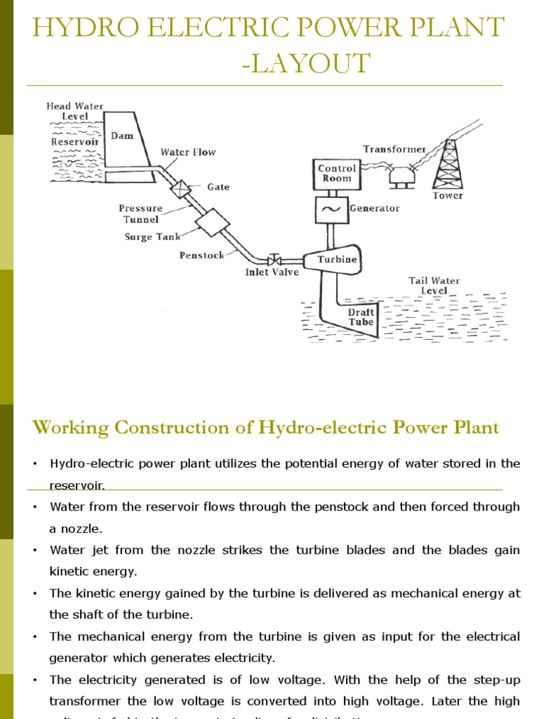 Hydroelectric Power Plant Overview | PDF | Hydroelectricity | Power Station