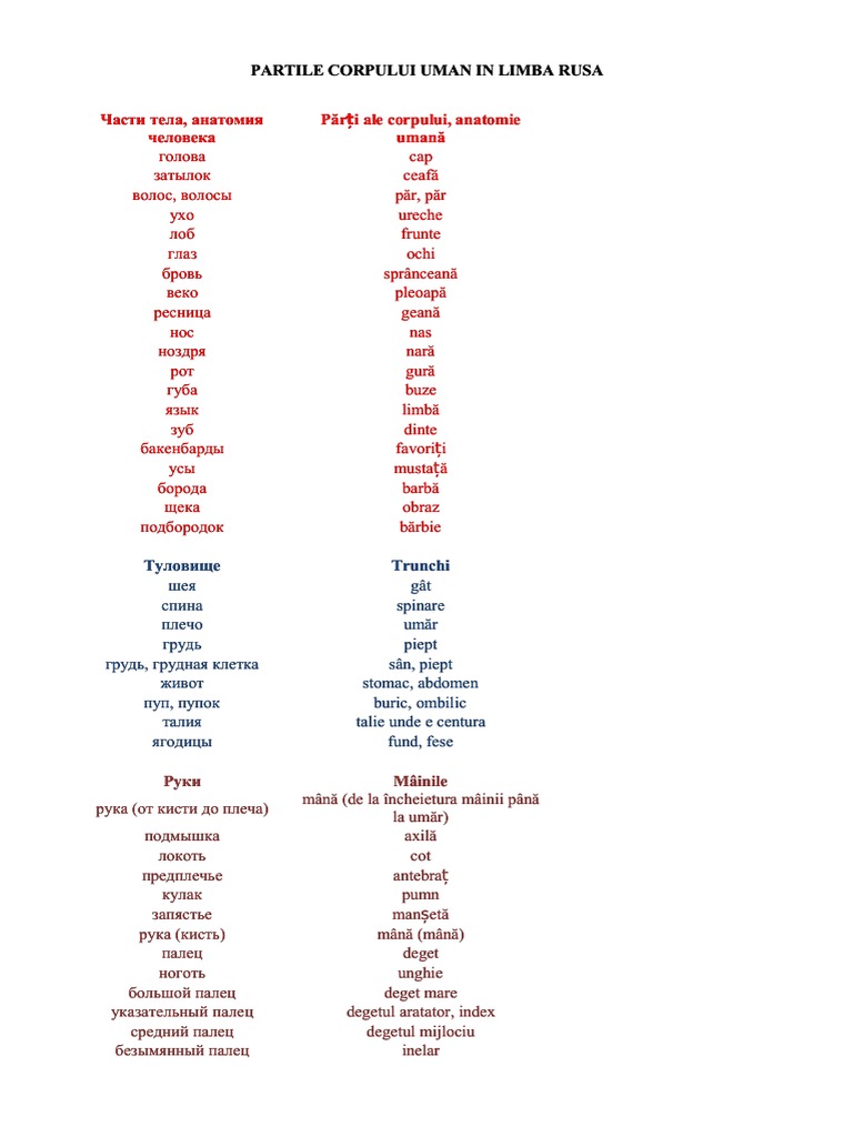 Partile Corpului Uman in Limba Rusa | PDF