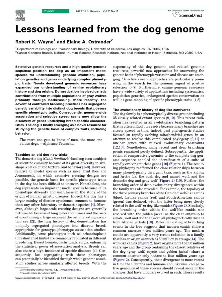 Lessons Learned From The Dog Genome | PDF | Canidae | Single Nucleotide ...