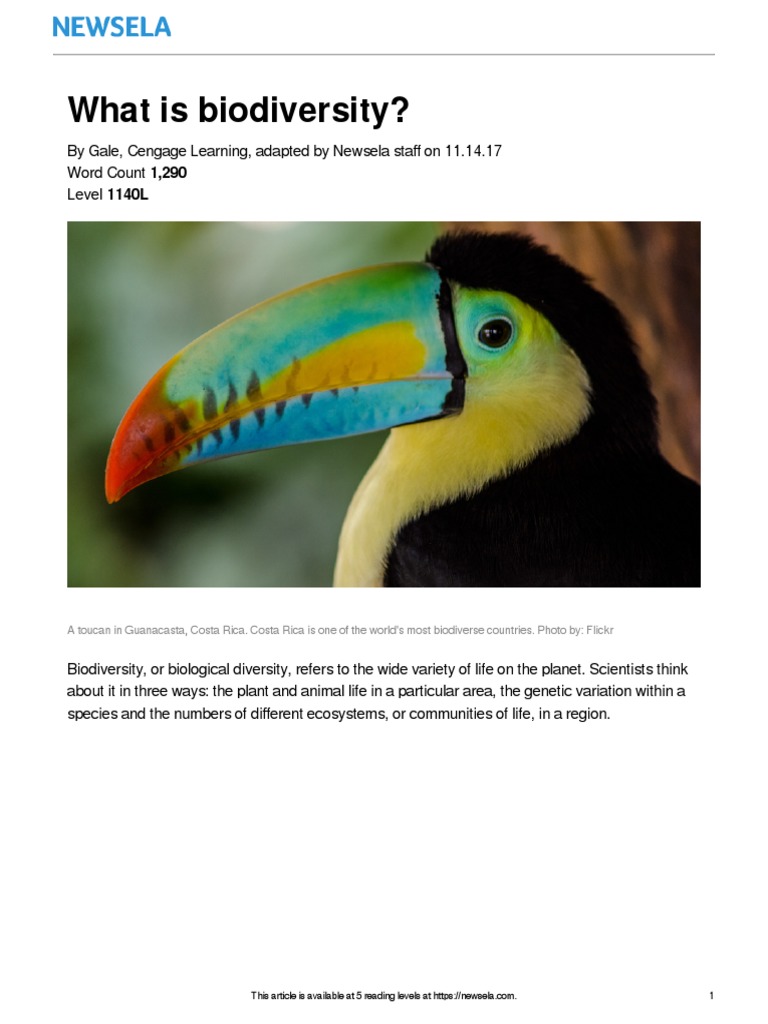 Newsela Biodiversity Article | PDF | Biodiversity | Extinction