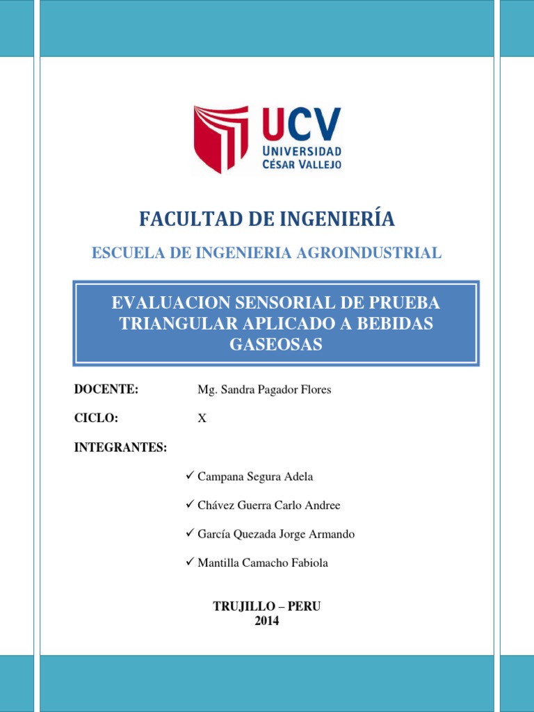 Informe Prueba Triangular | PDF
