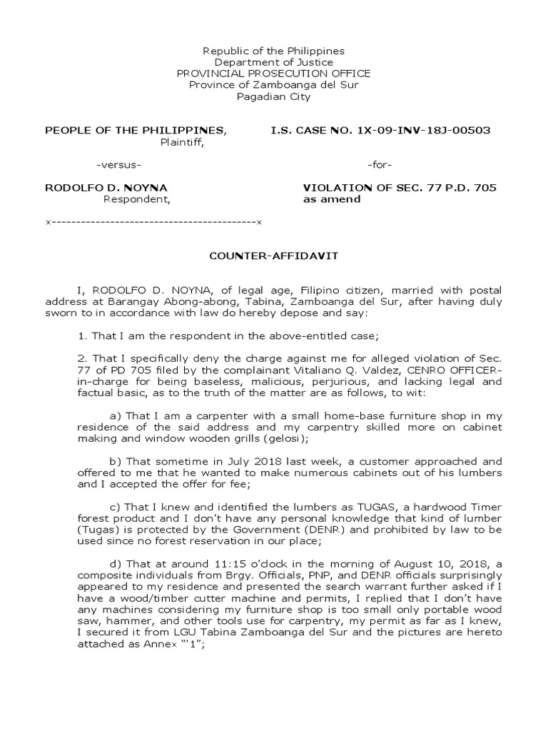 Counter Affidavit Noyna | PDF | Affidavit | Government