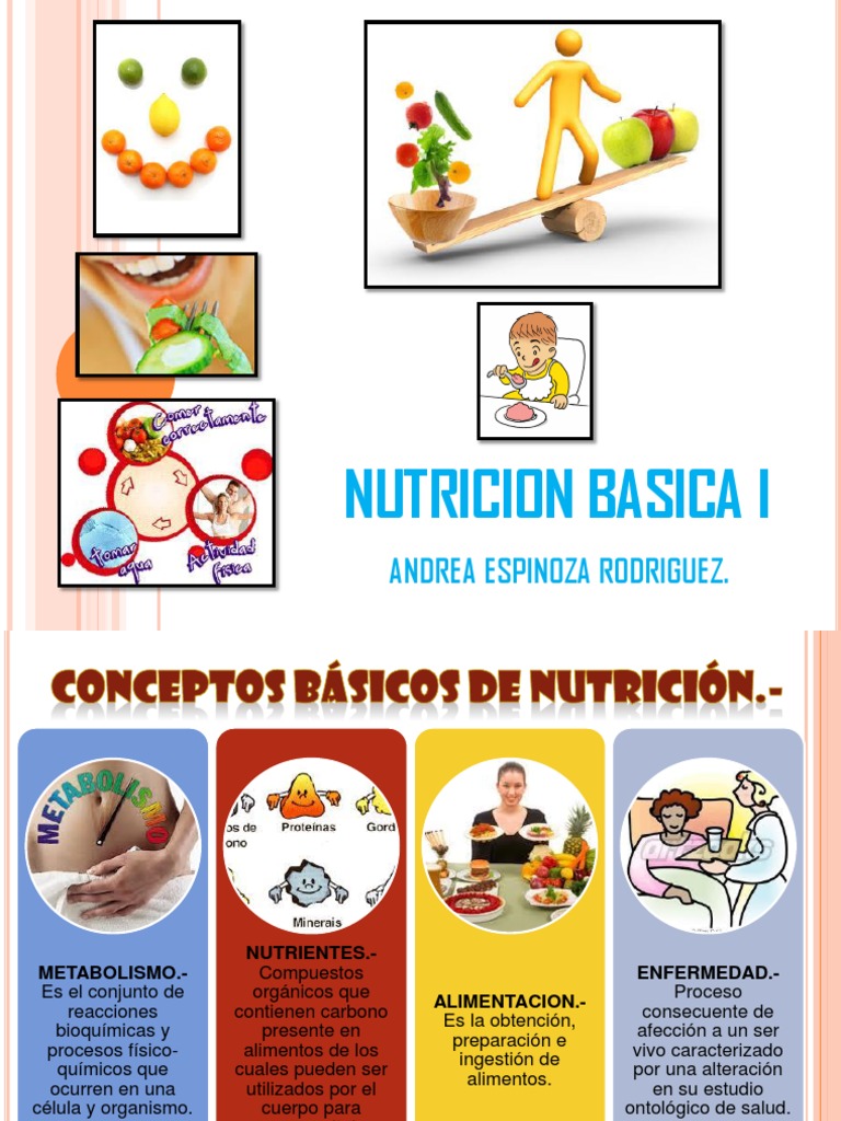 Nutricion Basica (Conceptos Basicos de Nutricion) | PDF | Nutrición | Dieta y nutrición