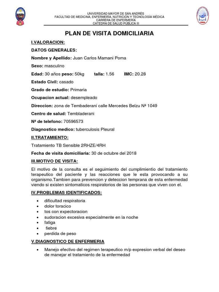 Plan De Visita Domiciliaria Enfermería Medicina